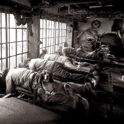 Lepa Radić: The Brave European Female Resistance Fighter who was ...